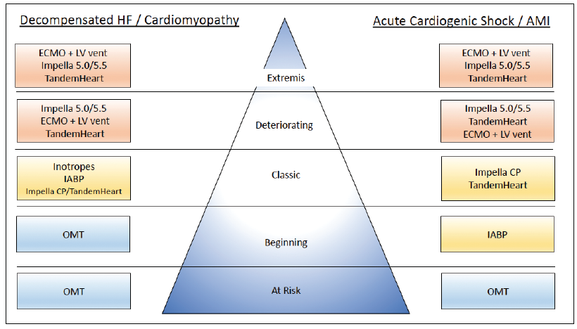 Identifying the Right Mechanical Circulatory Support for the Right ...