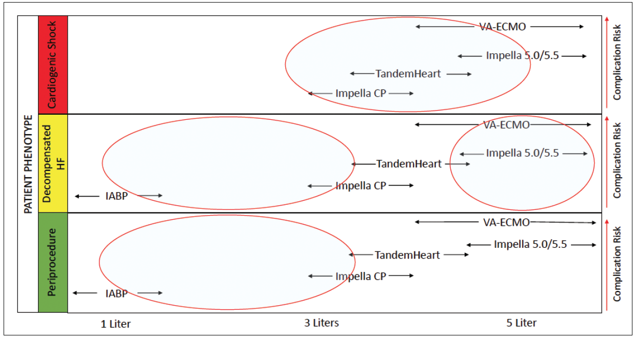 Identifying the Right Mechanical Circulatory Support for the Right ...