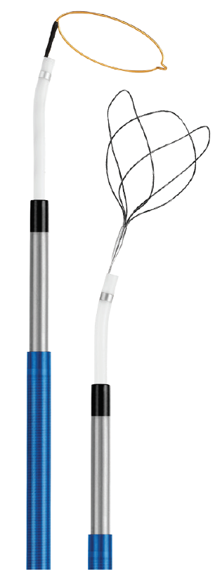 Innovations - Endovascular Today