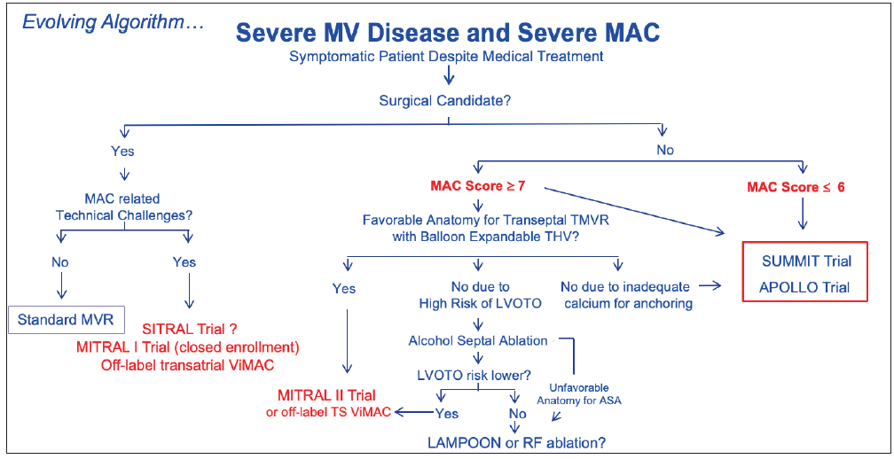 An Interview With Mayra Guerrero, MD - Cardiac Interventions Today