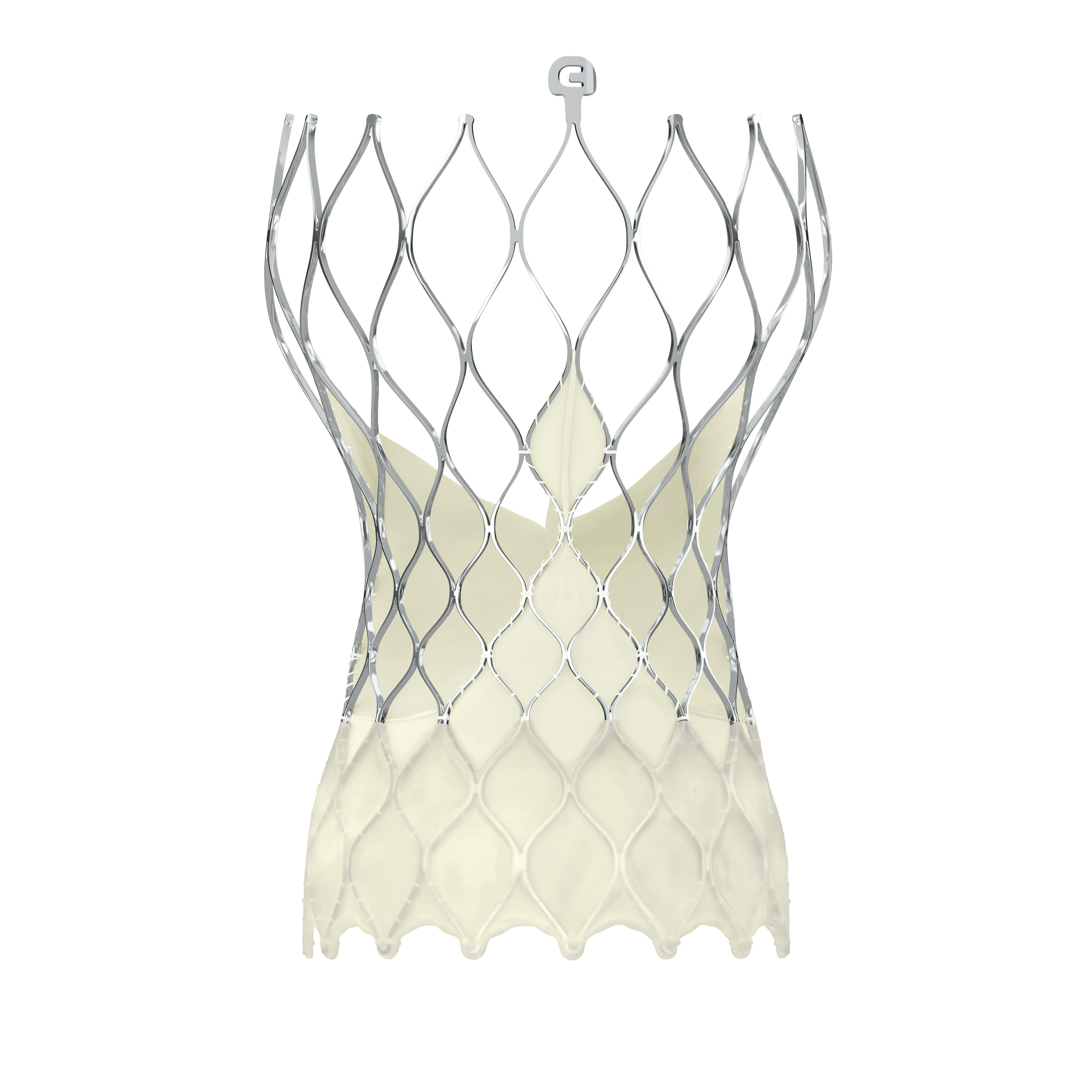 Medtronic’s Evolut TAVR Device Assessed in Results From OPTIMIZE PRO ...