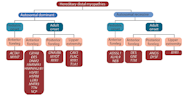 Differential Diagnosis Of Distal Myopathies Practical Neurology
