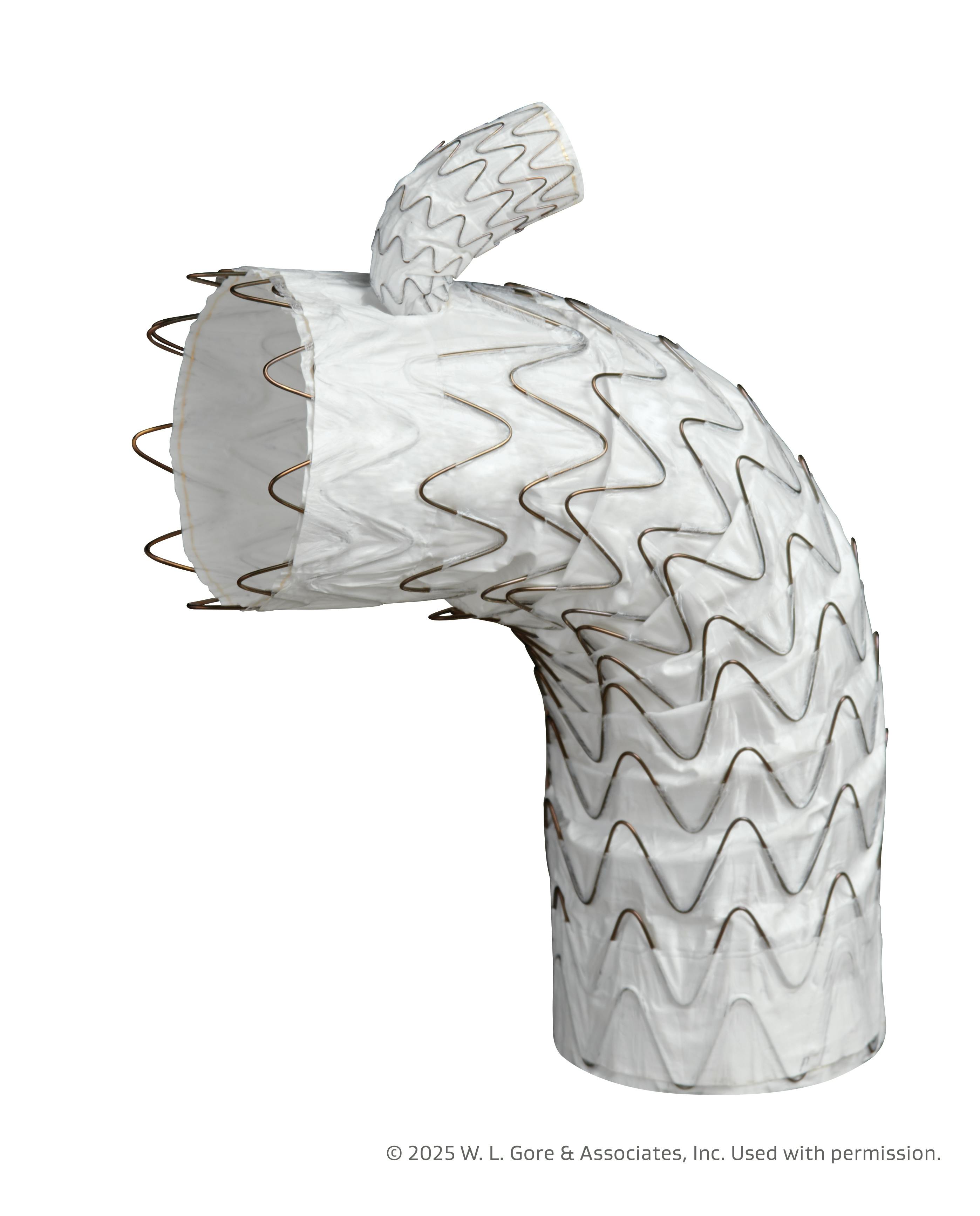 Gore TAG TBE Approved for Zones 0 and 1 Aortic Arch Repair ...