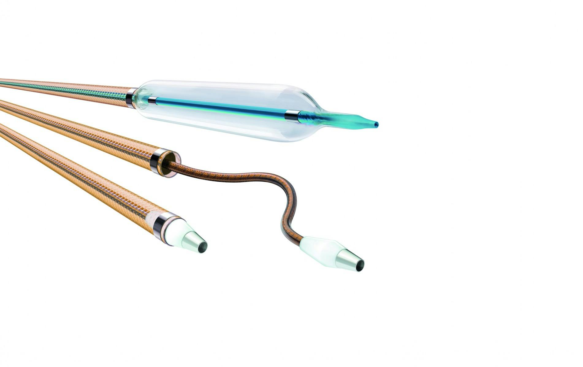 Biotronik’s Oscar Multifunctional Peripheral Catheter Gains FDA ...