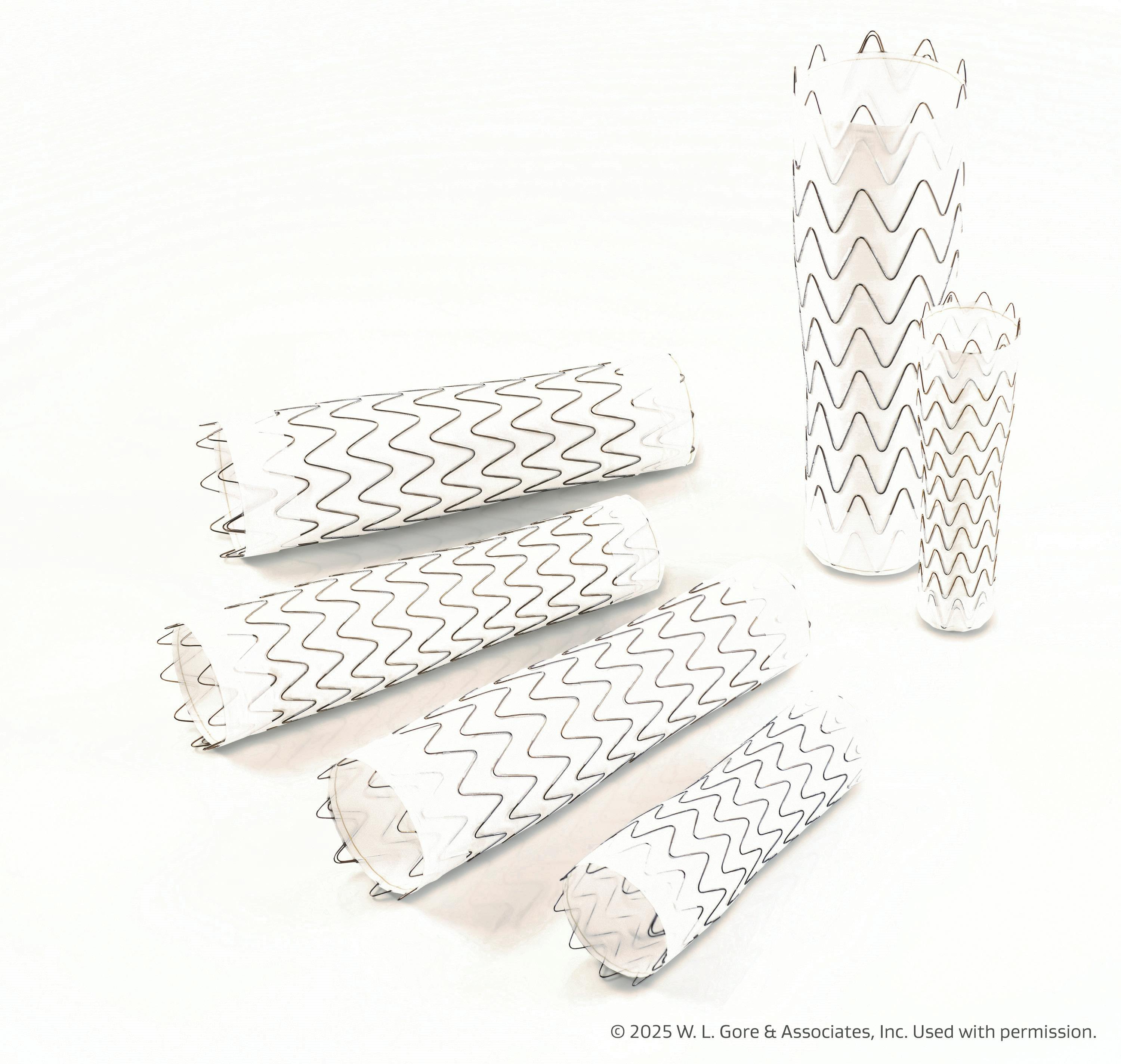 FDA Approves New Large-Diameter Tapered Designs of Gore TAG Conformable ...