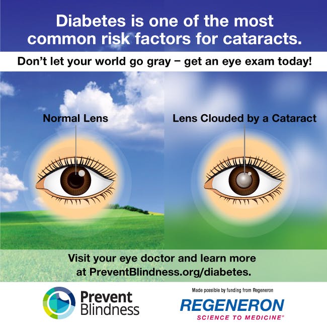 Prevent Blindness Offers New Educational Resources for November’s ...
