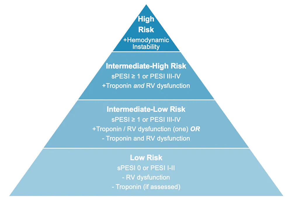 Pulmonary Embolism Risk Stratification: Progress, Gaps, and the Path ...