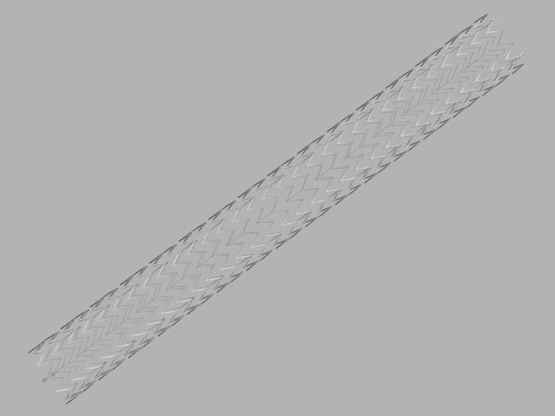 Cook’s Zilver Vena Stent Shows Sustained High Patency in 3-Year VIVO ...