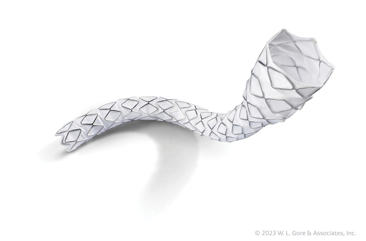 Gore’s Viabahn VBX Stent Graft With Lower Profile Receives CE Mark ...