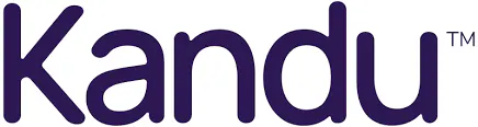 Imperative Care Launches Kandu Health, a Stroke Recovery Digital Health ...