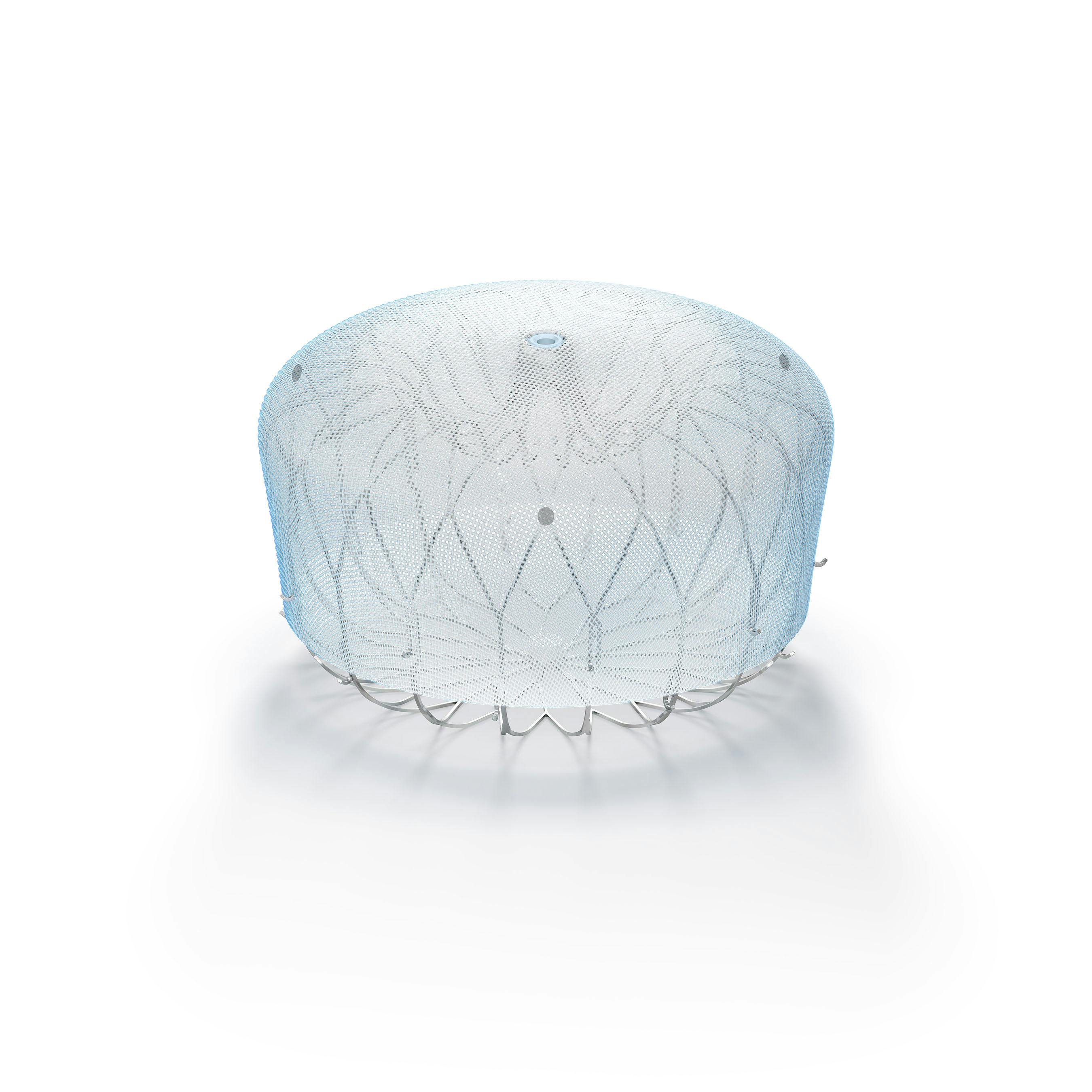 Boston Scientific Presents Imaging Findings From Premarket WATCHMAN FLX ...