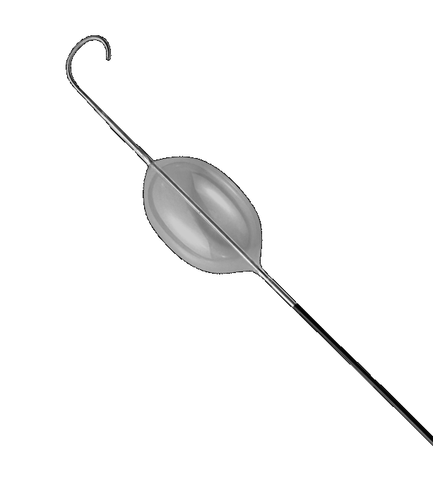 Emergency Scientific Announces First Use of the Landmark Balloon ...