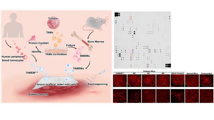 Practical Dermatology