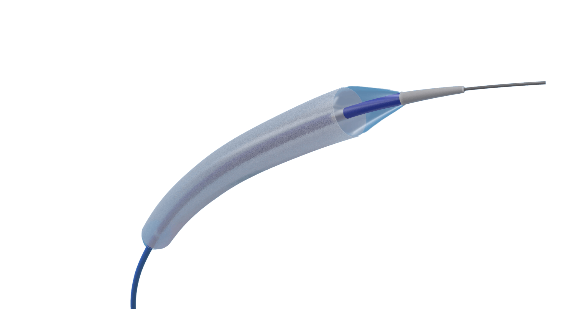 Cordis Initiates SELUTION Global Coronary Registry - Cardiac ...