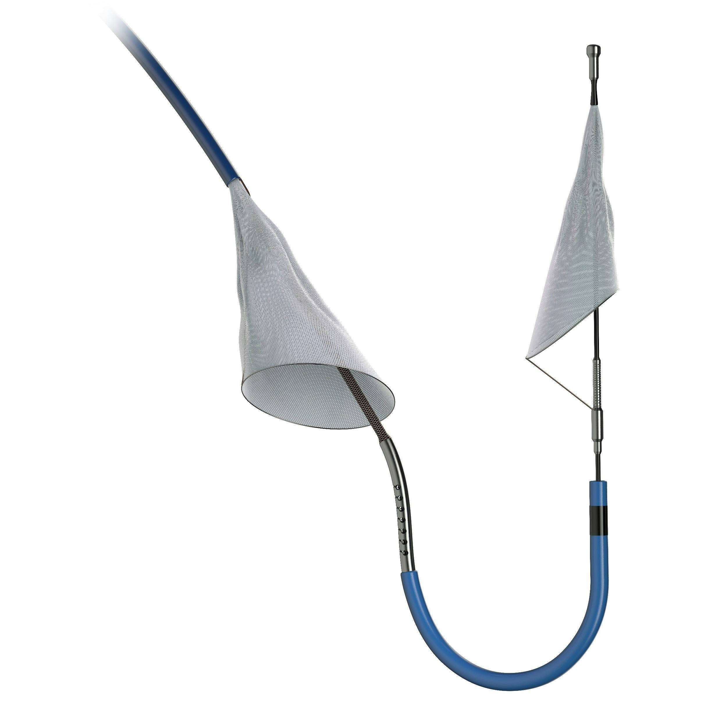 Boston Scientific's Sentinel Cerebral Embolic Protection Device ...