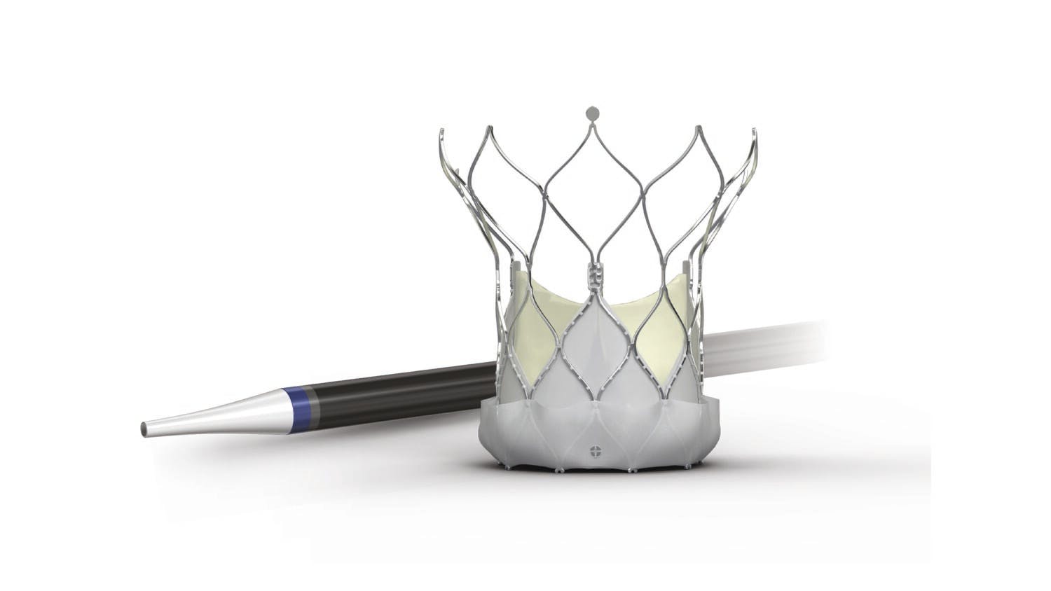 Abbott’s Navitor Vision TAVI/TAVR Device Introduced in United Kingdom ...
