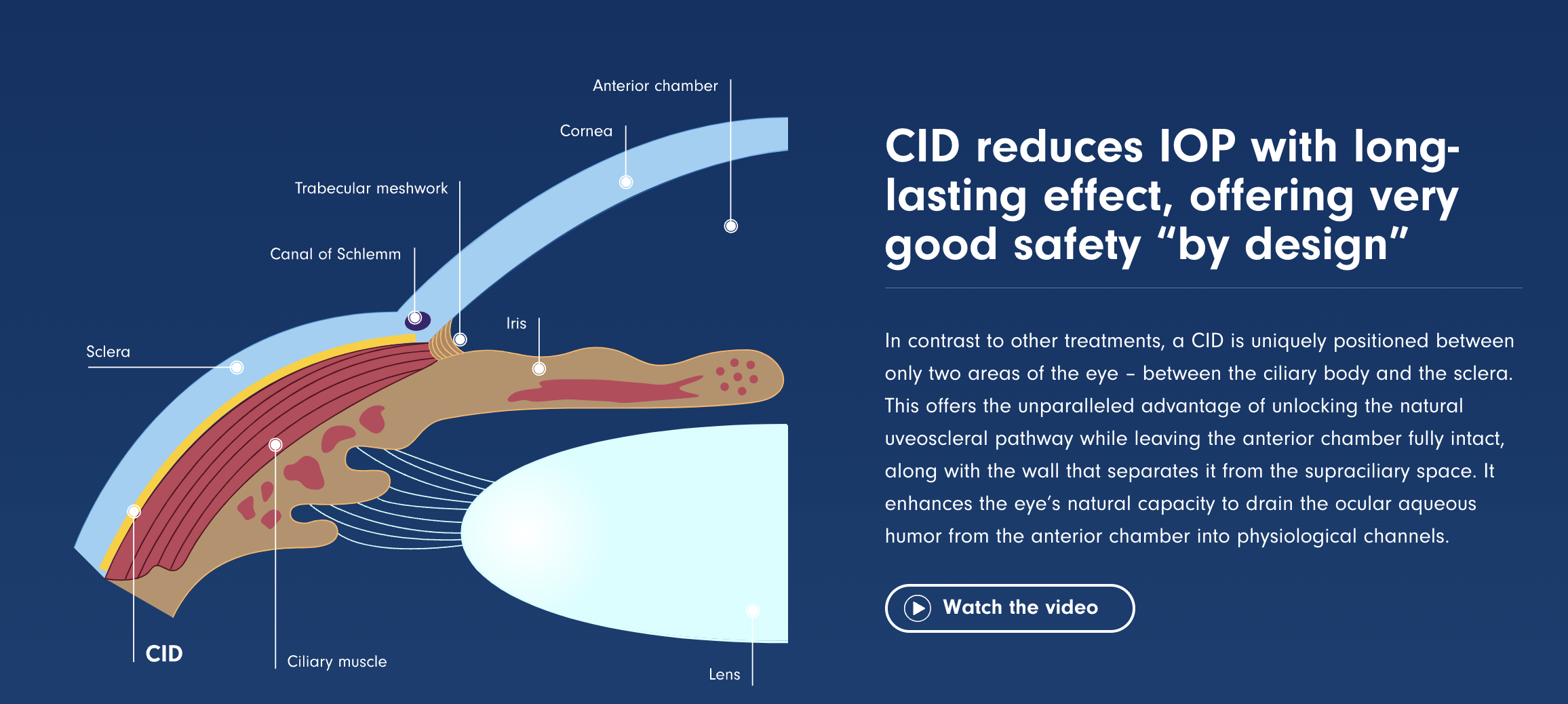 Ciliatech Presents Preliminary 1-Year Study Results on Treating Open ...