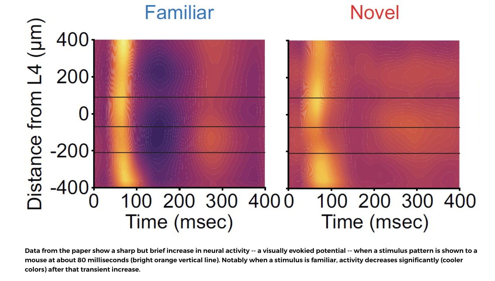 Resolving a Seeming Contradiction, Study Advances Understanding of ...