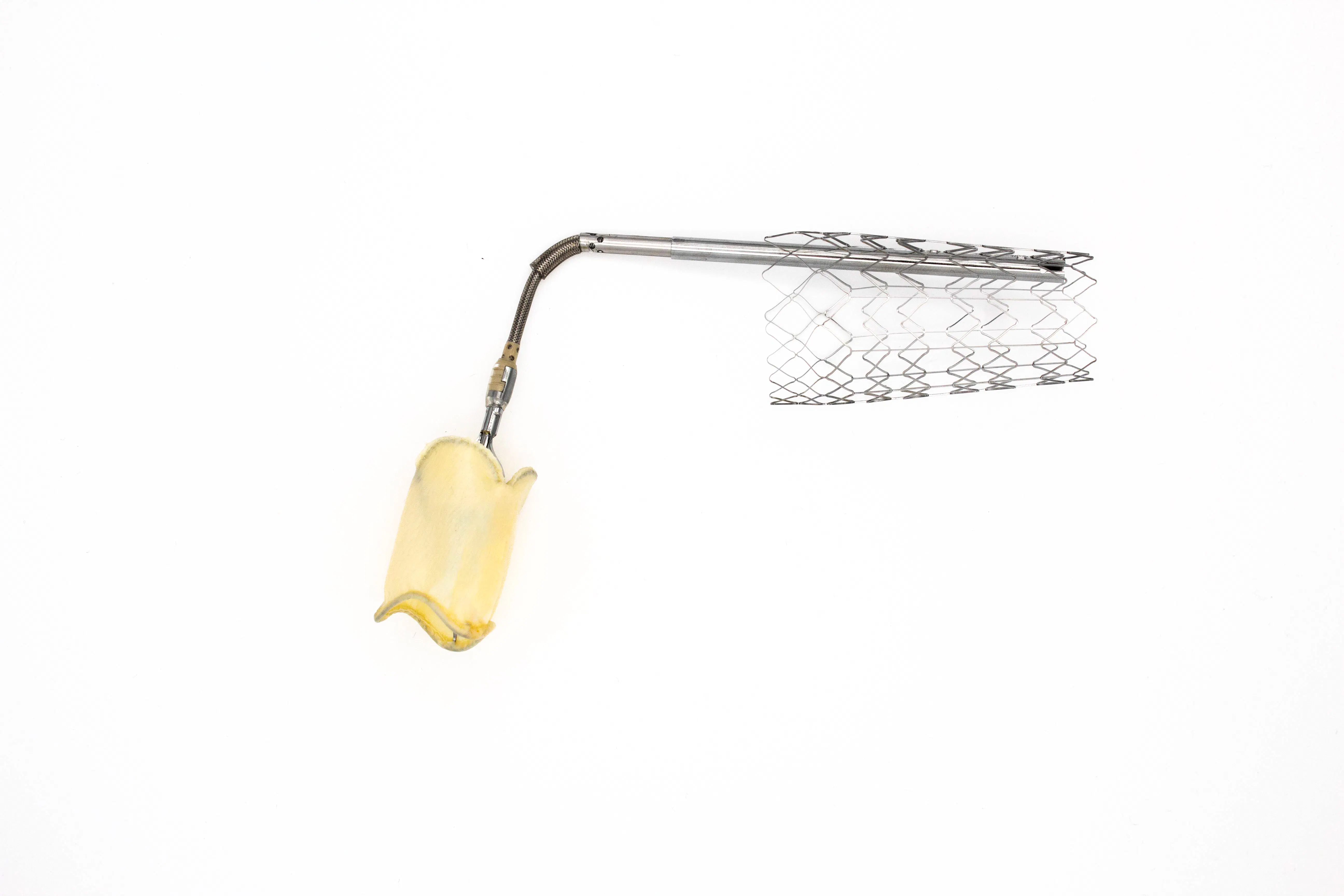 CroíValve Receives Financing to Support TANDEM II EFS of Duo Tricuspid ...