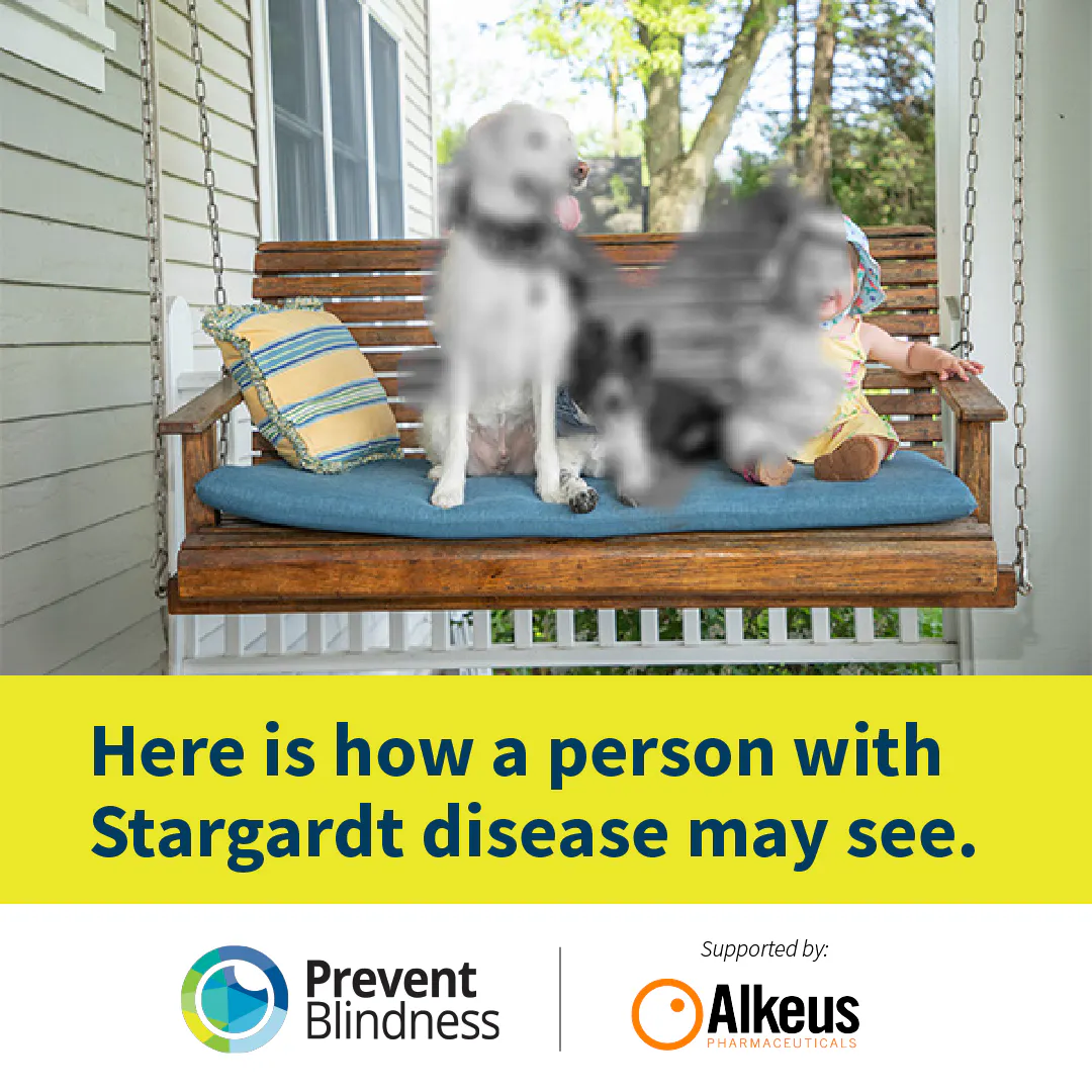 Prevent Blindness Offers New Resources for Education and to Raise ...