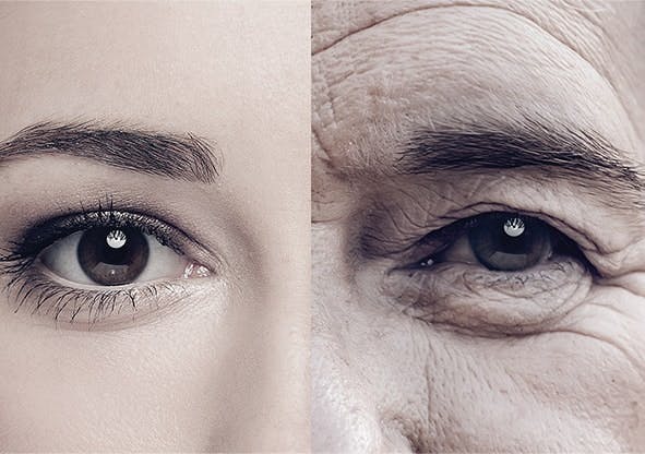 The Emergence of Longevity Biotechnology in Eye Care - Modern Optometry