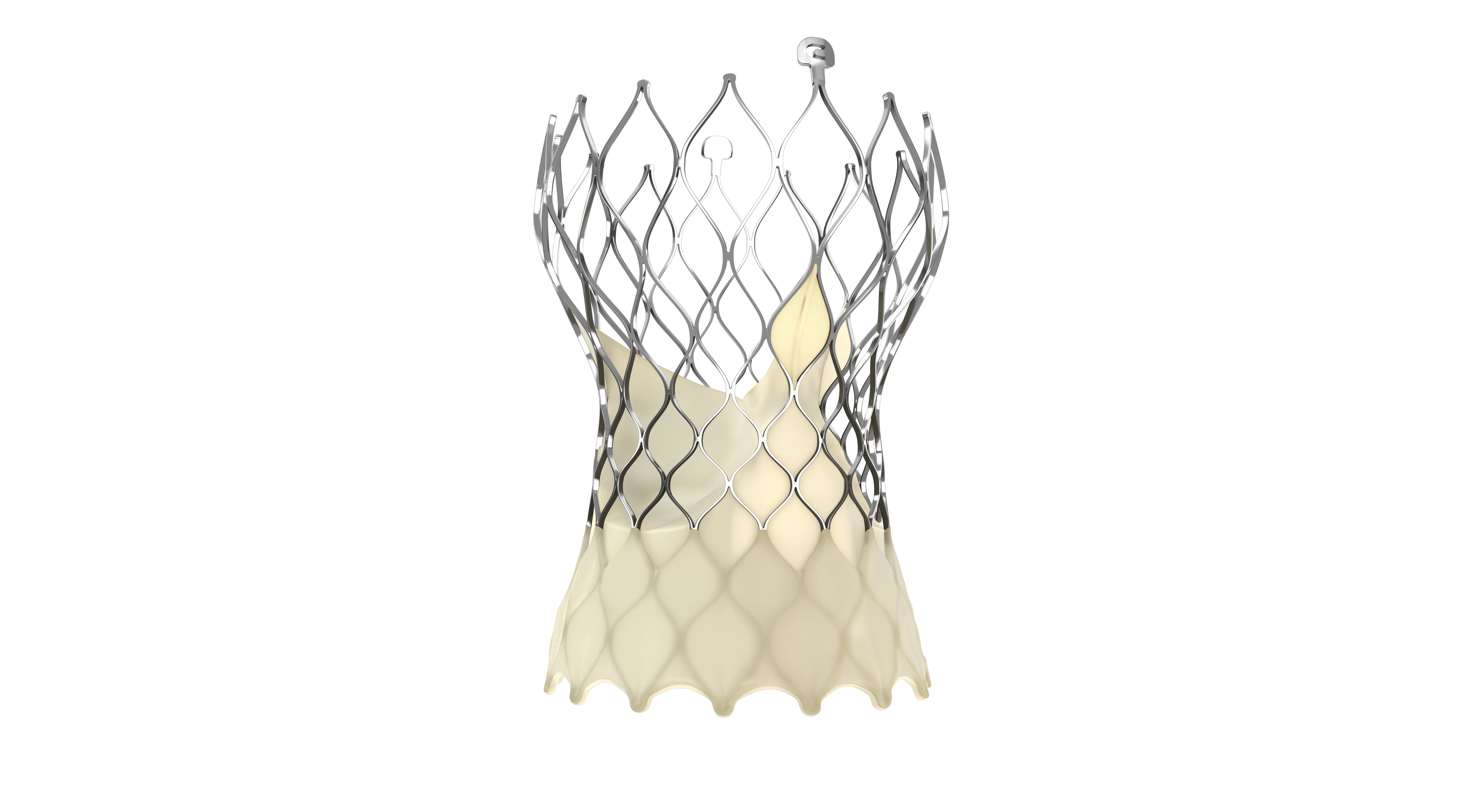 Medtronic CoreValve/Evolut TAVR Systems’ Performance Evaluated in ...