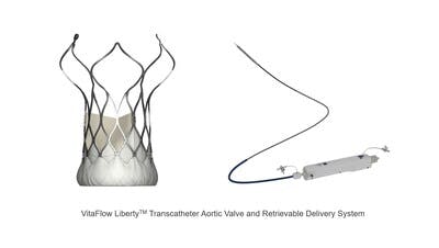 CardioFlow’s VitaFlow Liberty TAVI/TAVR System Granted CE Mark Under ...