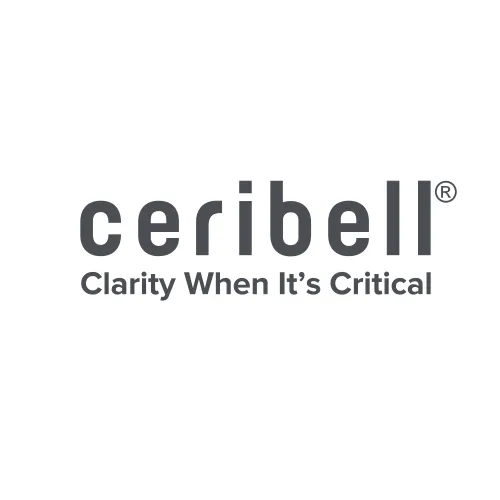 Ceribell’s LVO Stroke Detection Monitor Receives FDA Breakthrough ...