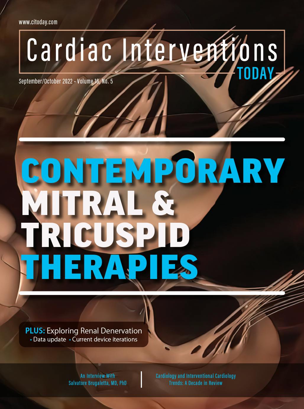 Viz.ai Launches AI-Powered Viz Cardio Suite - Cardiac Interventions Today