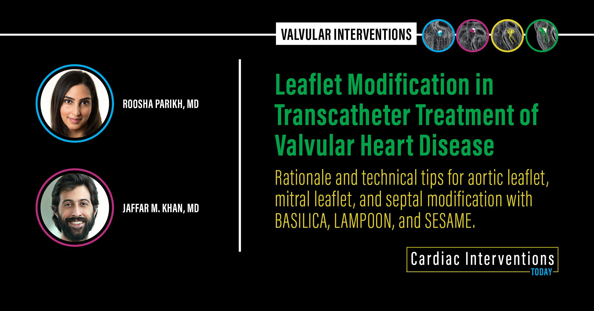 Leaflet Modification in Transcatheter Treatment of Valvular Heart ...