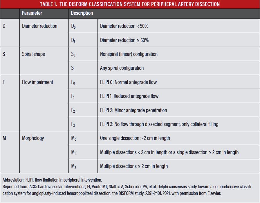 DISFORM Classification System Developed for Angioplasty-Induced ...