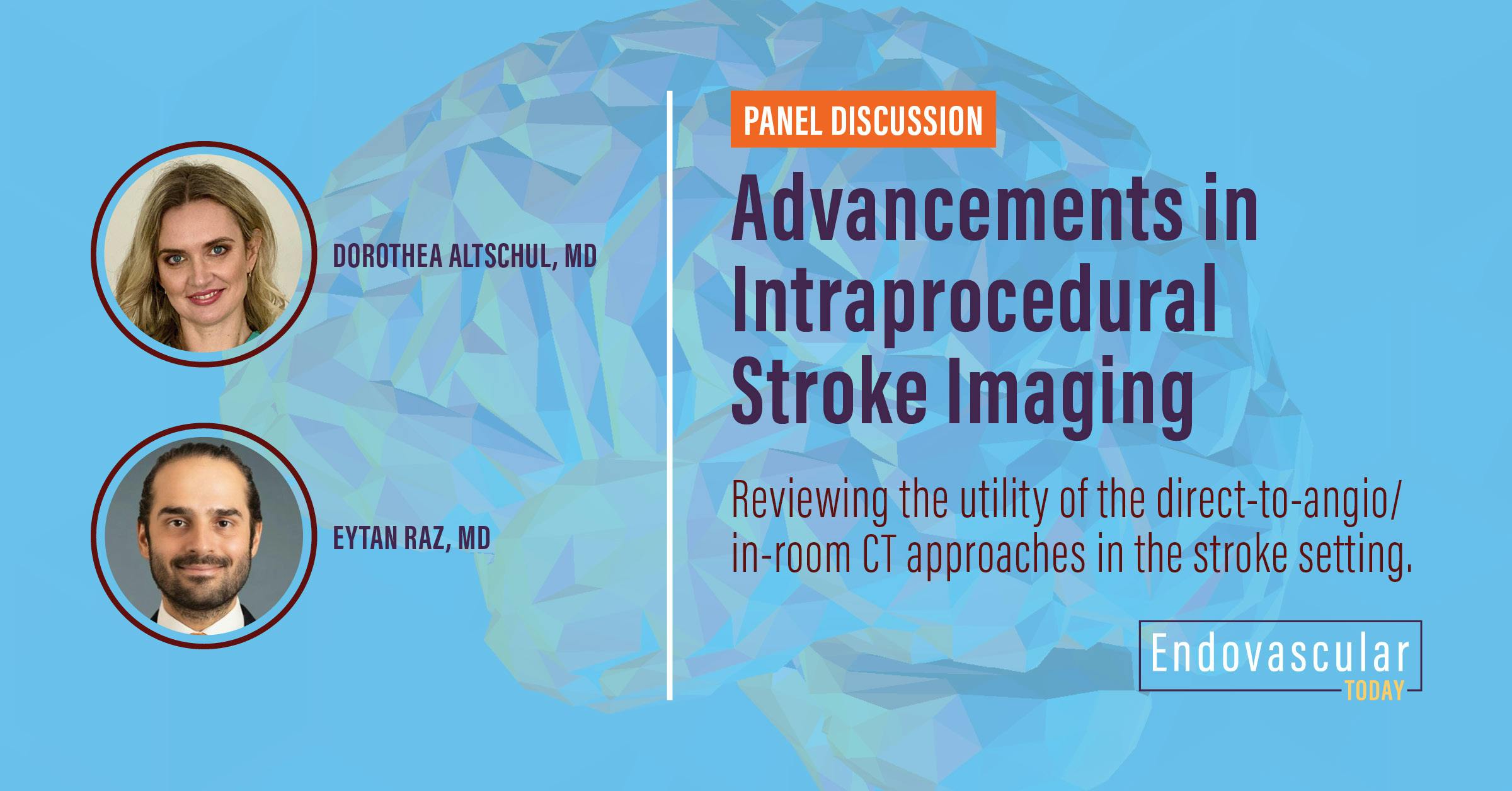 Panel Discussion: Advancements in Intraprocedural Stroke Imaging ...