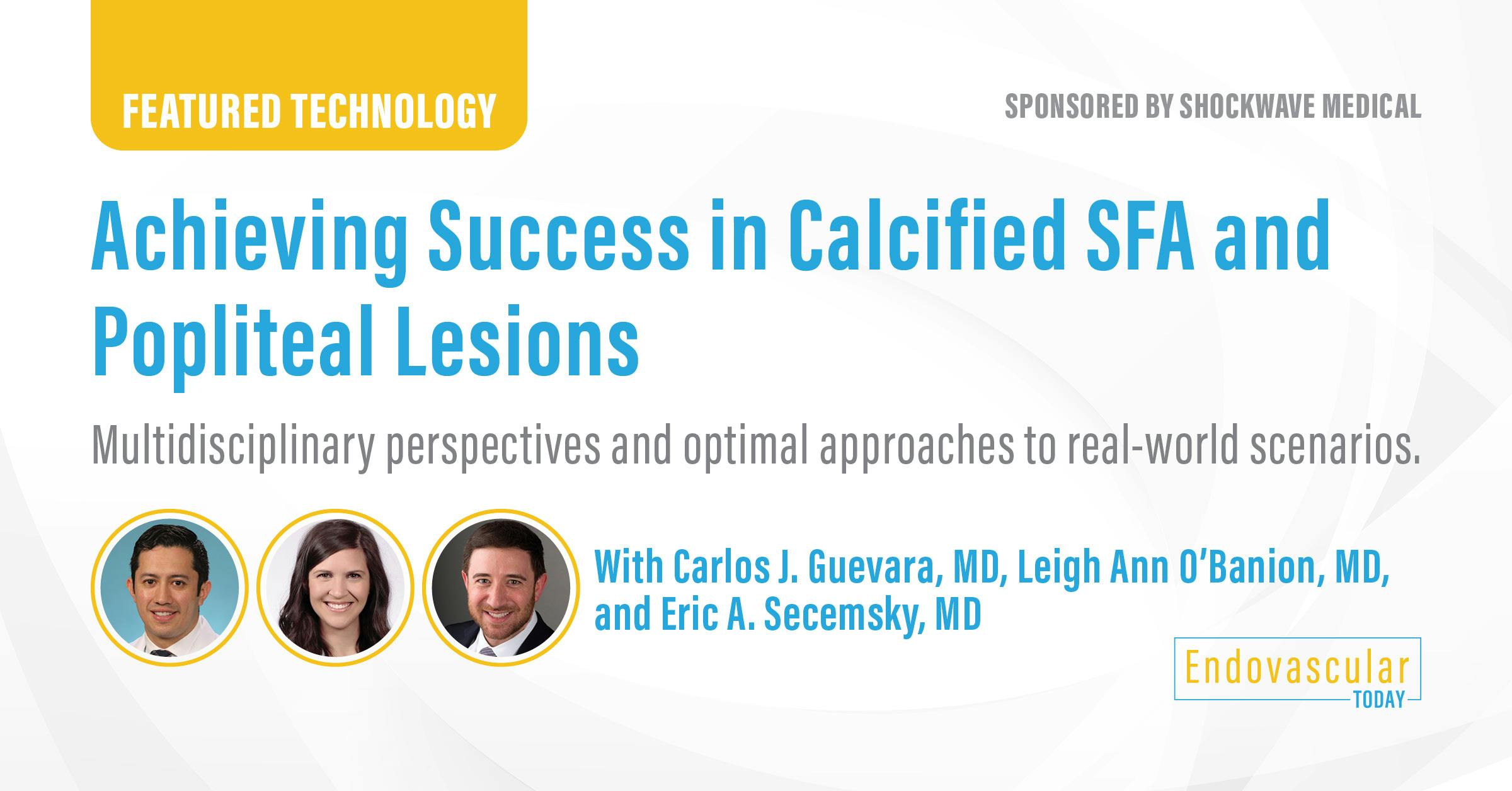 Achieving Success in Calcified SFA and Popliteal Lesions - Endovascular ...