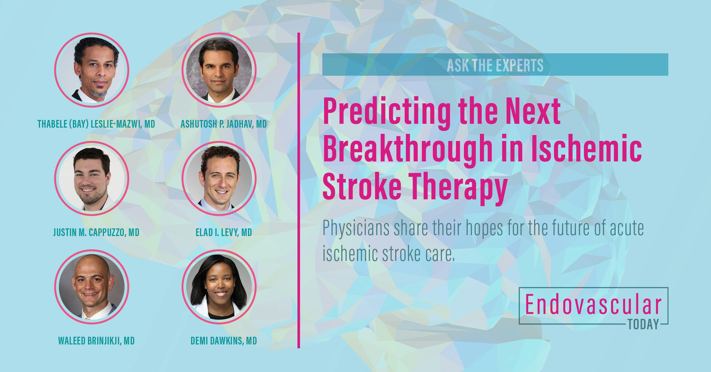 Ask the Experts: Predicting the Next Breakthrough in Ischemic Stroke ...