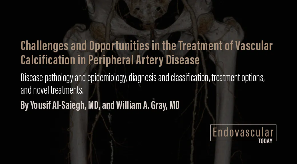 Challenges and Opportunities in the Treatment of Vascular Calcification ...