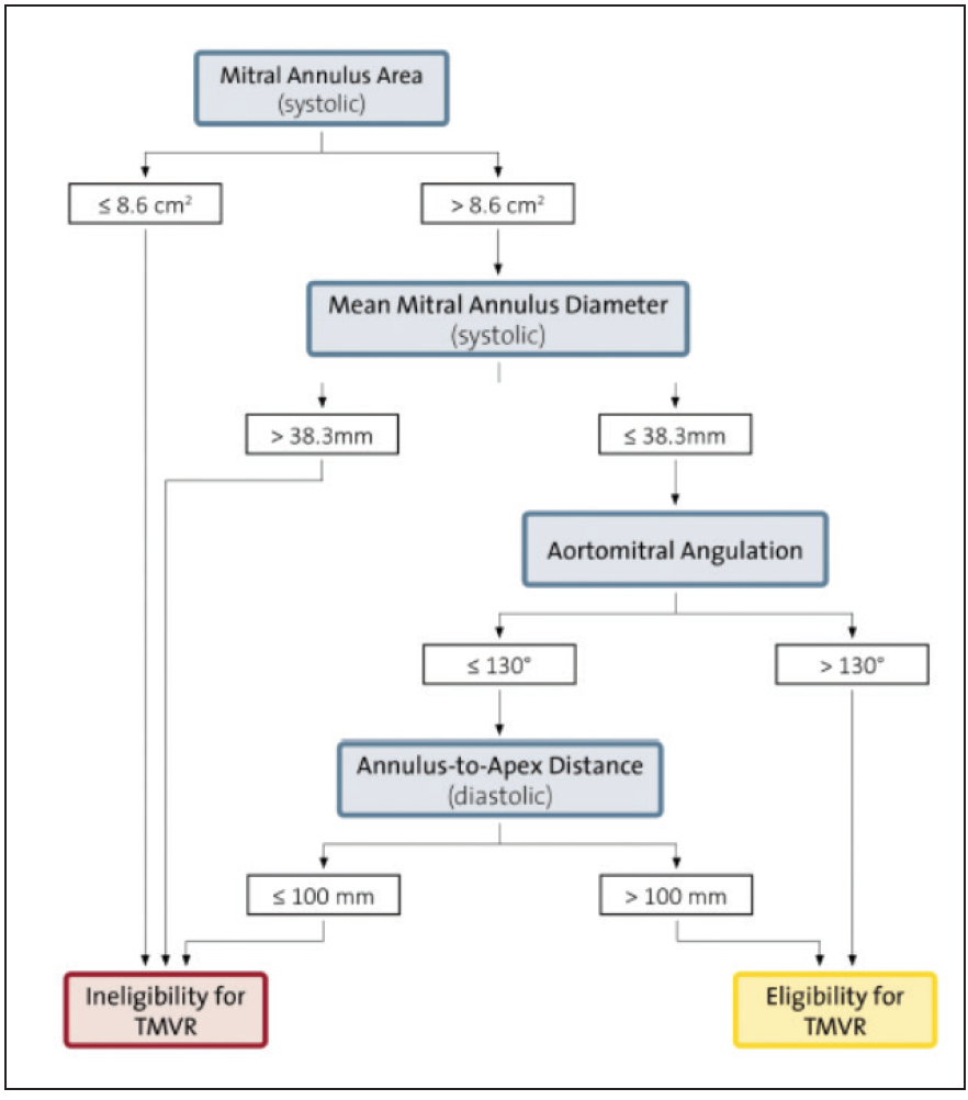The Emerging Role of Transcatheter Mitral Valve Implantation in ...