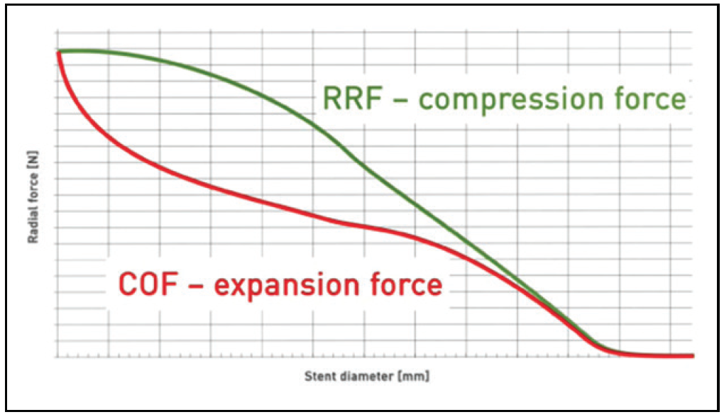 What Defines the Ideal Self-Expanding Stent for Lower Limb ...