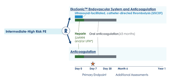 The HI-PEITHO Study of Ultrasound-Facilitated, Catheter-Directed ...