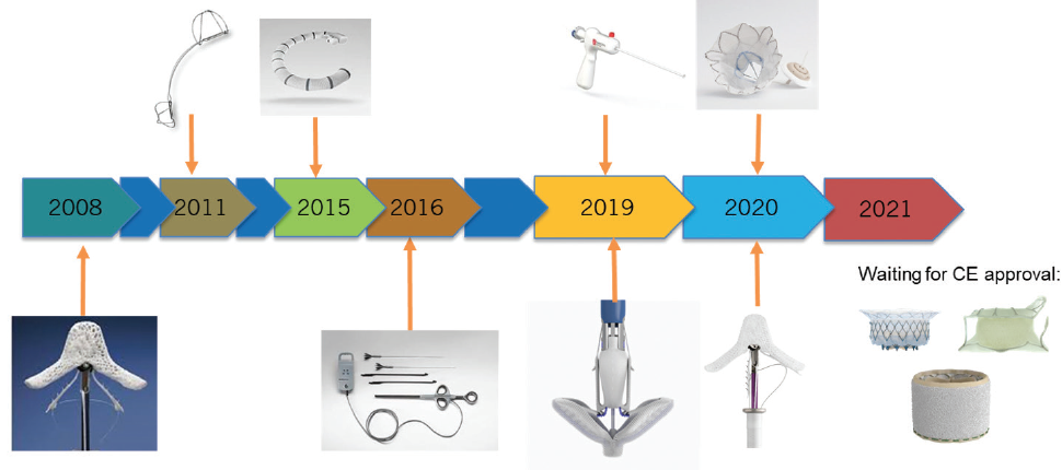 Perspectives on Transcatheter Mitral Therapy - Cardiac Interventions Today