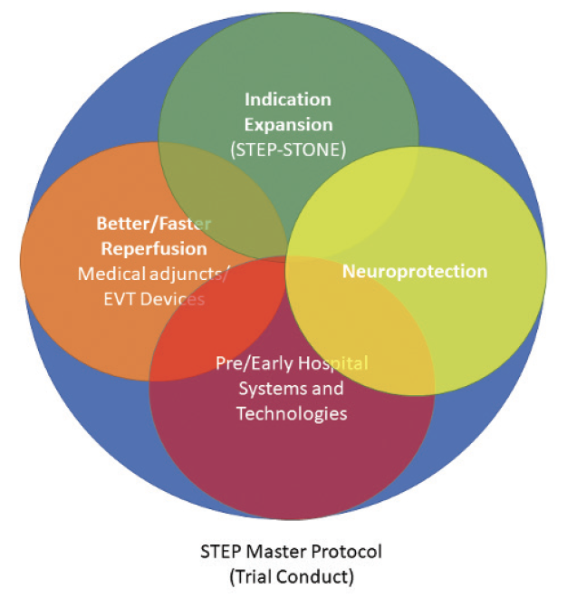 STEP: A Platform Trial for Stroke Thrombectomy - Endovascular Today