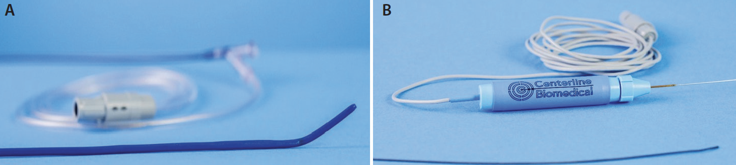 Use of the Intraoperative Positioning System for Aortic Interventions ...