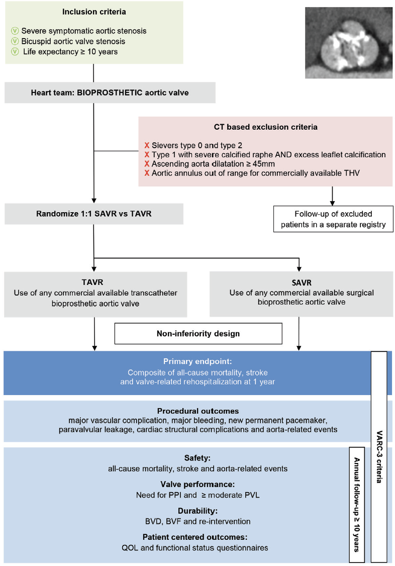 TAVR Versus SAVR in Bicuspid Aortic Valve Stenosis - Cardiac ...