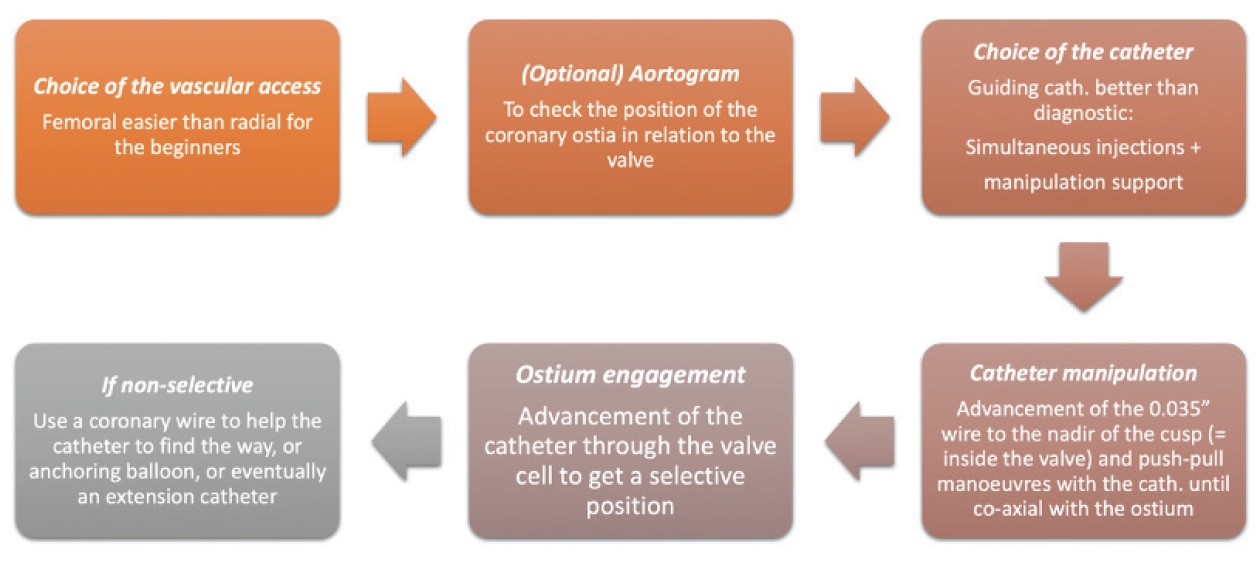 Coronary Reaccess After TAVR - Cardiac Interventions Today