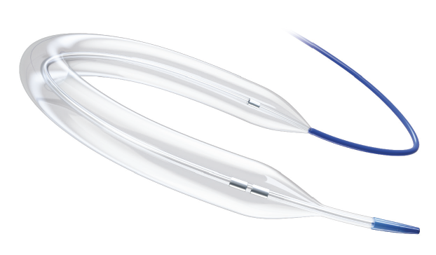 Treatment of a CTO of the SFA Using the OUTBACK® Elite Re-Entry Device ...