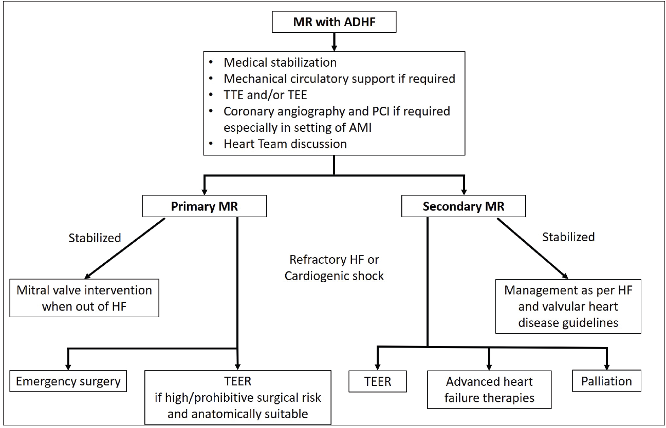 Transcatheter Edge-to-Edge Repair in Acute Decompensated Heart Failure ...