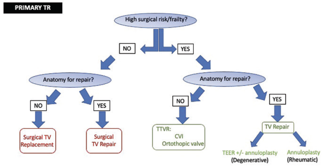 Contemporary Treatment of Tricuspid Regurgitation - Cardiac Interventions Today
