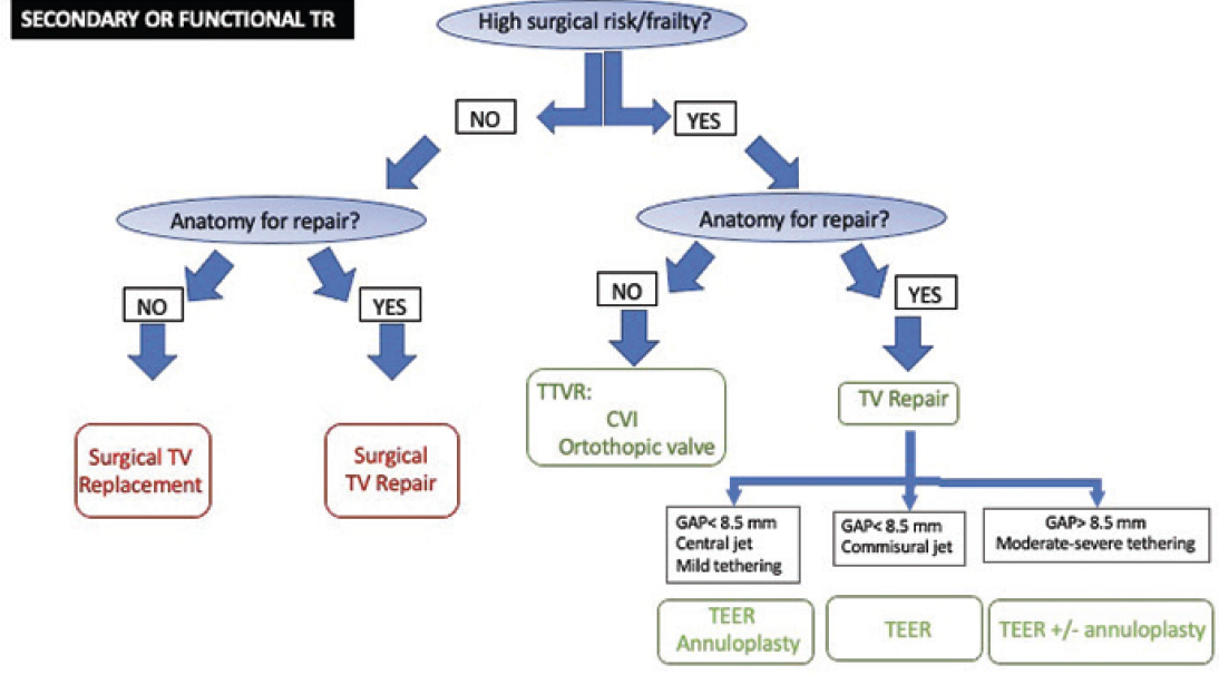 Contemporary Treatment of Tricuspid Regurgitation - Cardiac ...