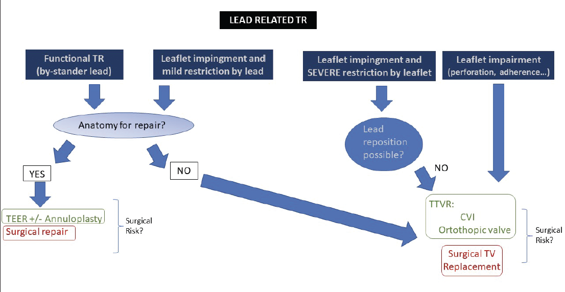 Contemporary Treatment of Tricuspid Regurgitation - Cardiac ...