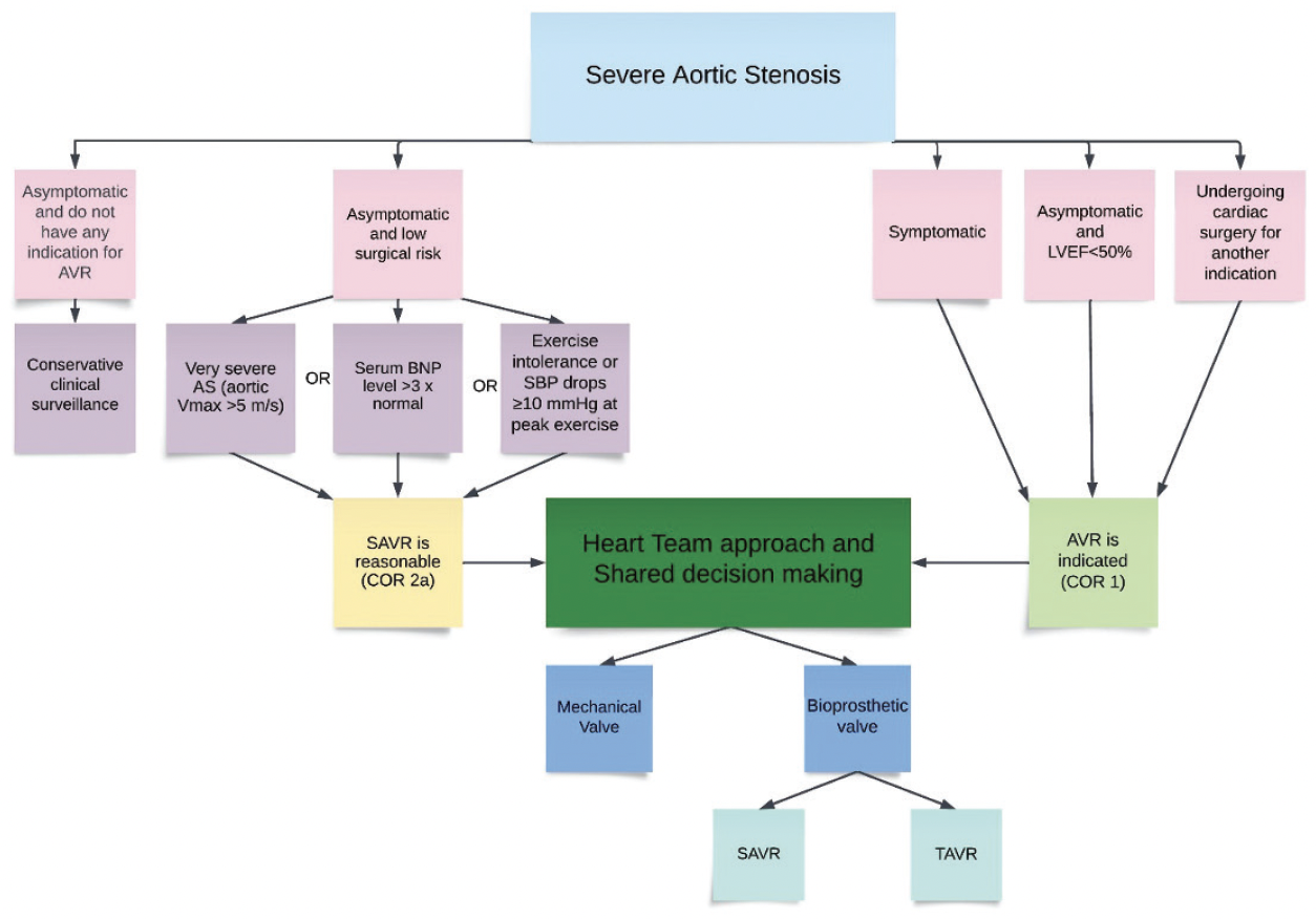 Aortic Stenosis Lifetime Management - Cardiac Interventions Today