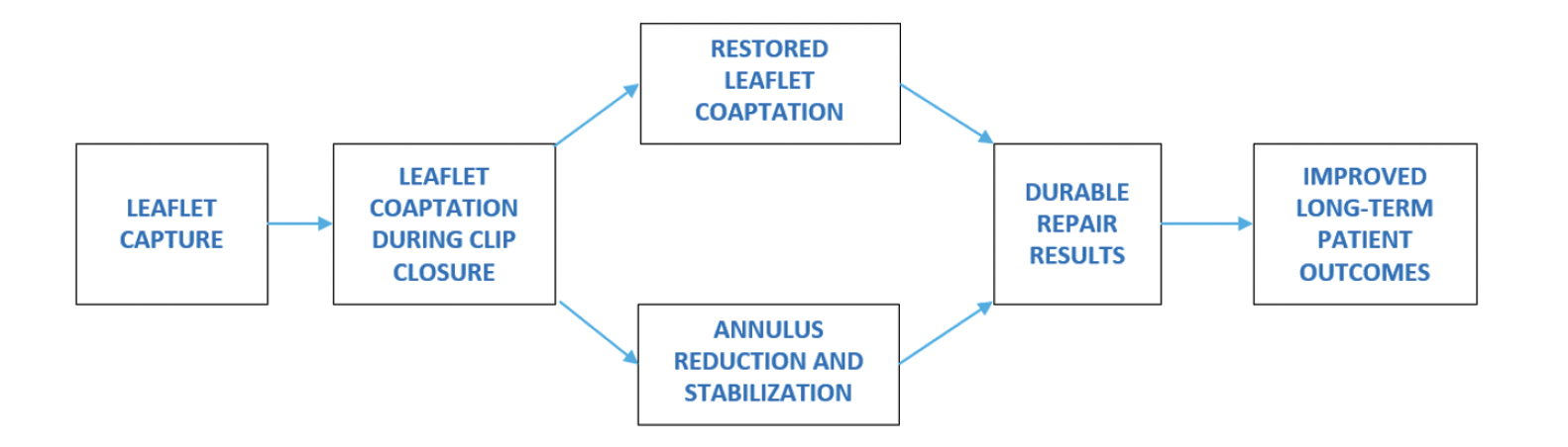 Therapeutic Benefits of TEER With the MitraClip™ Device - Cardiac ...